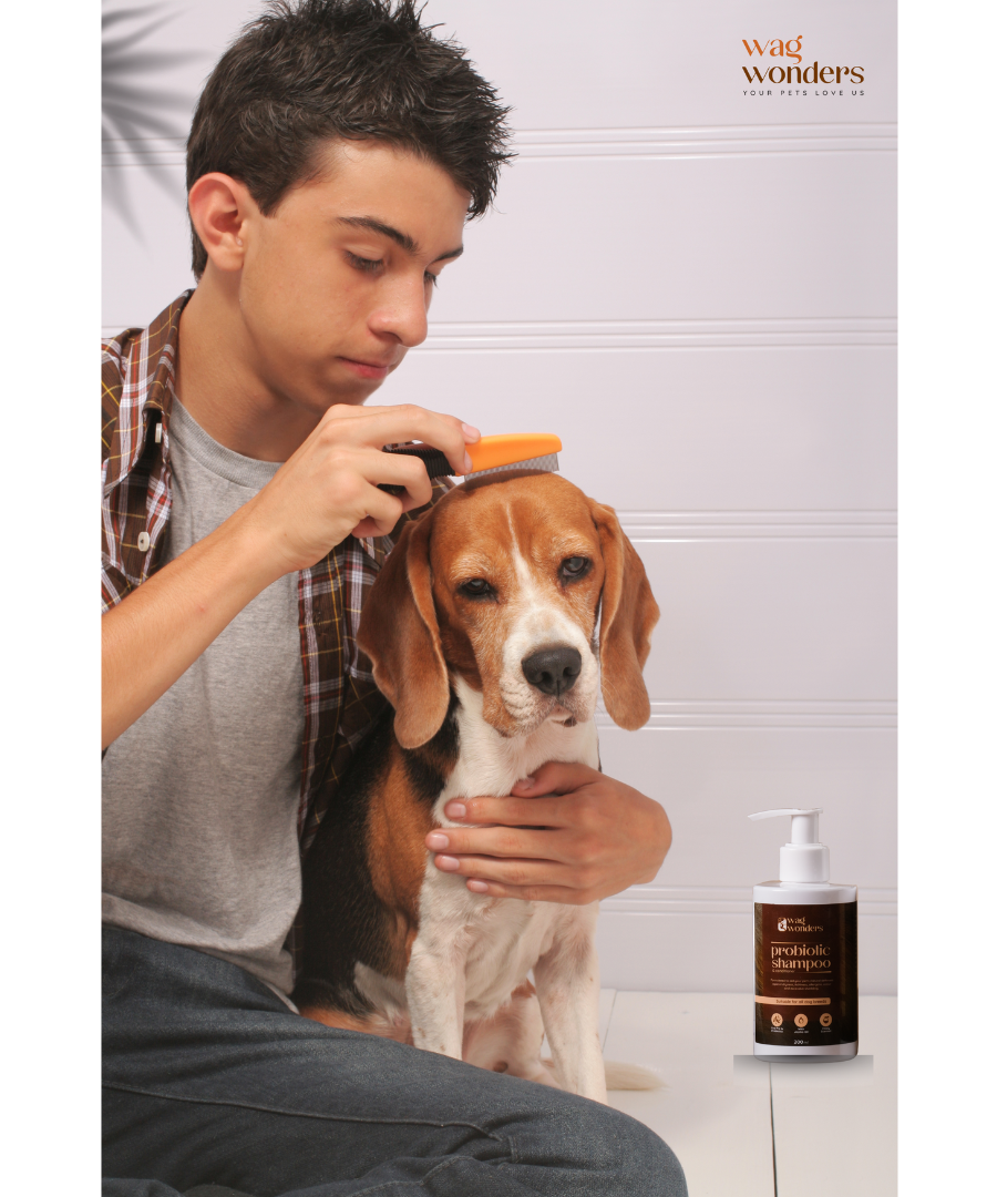 The Importance of Grooming Products for Maintaining Your Dog’s Skin Mi ...
