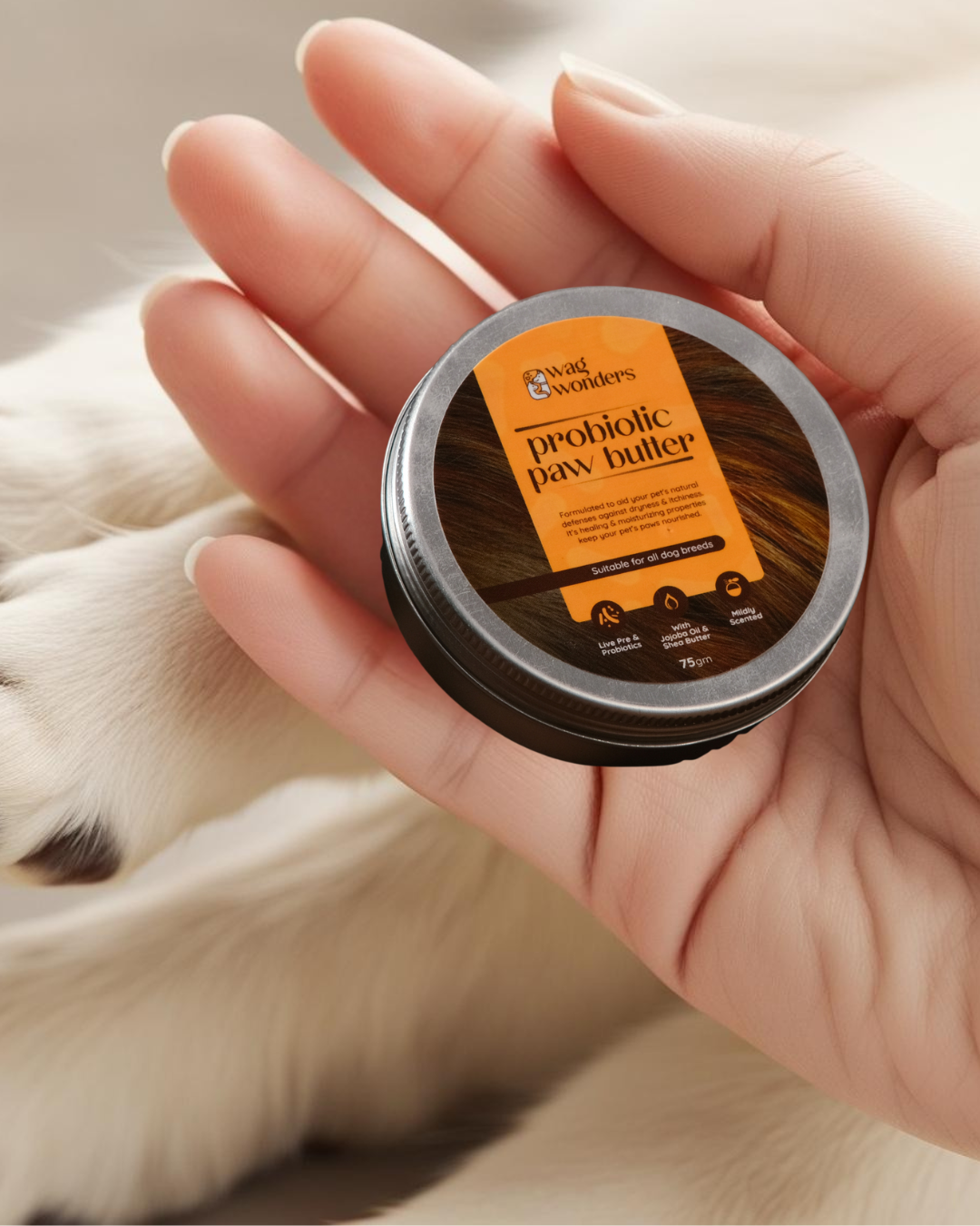 How Often Should You Apply Paw Butter to Your Dog’s Paws? – Wag wonders