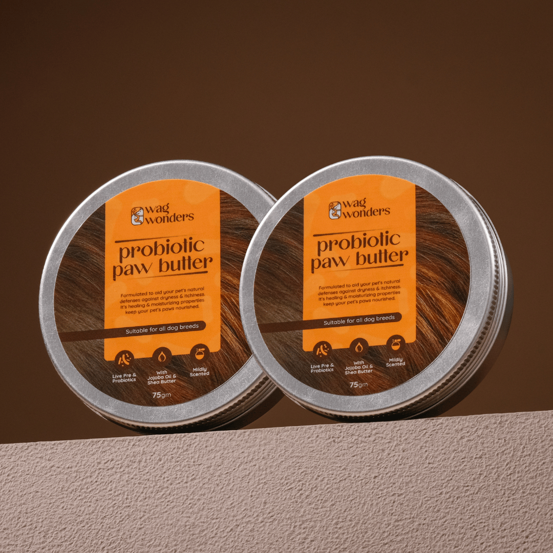 Probiotic Paw Butter Combo of 2 – Wag wonders